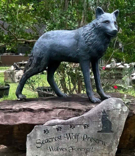 enchanted florida road trip ftr