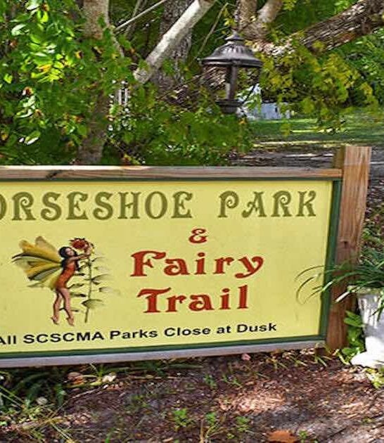 fairy gnome in florida ftr