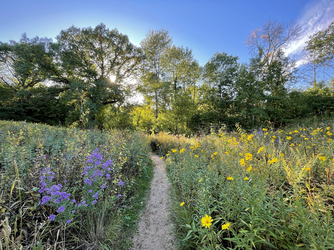 fairytale road trip minnesota 4