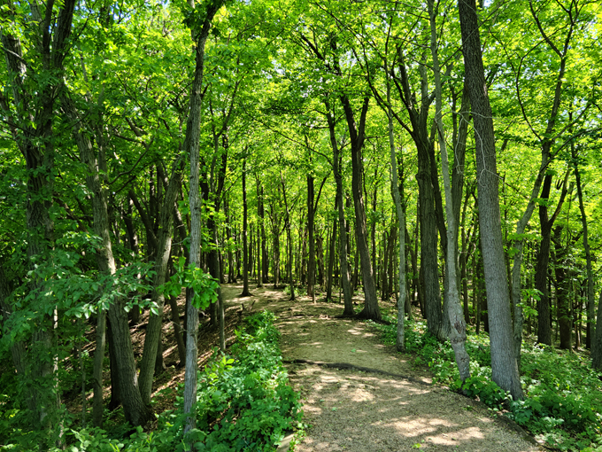 fairytale road trip minnesota 8