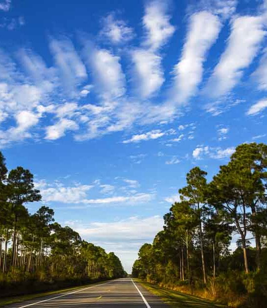 florida 220 mile drive ftr