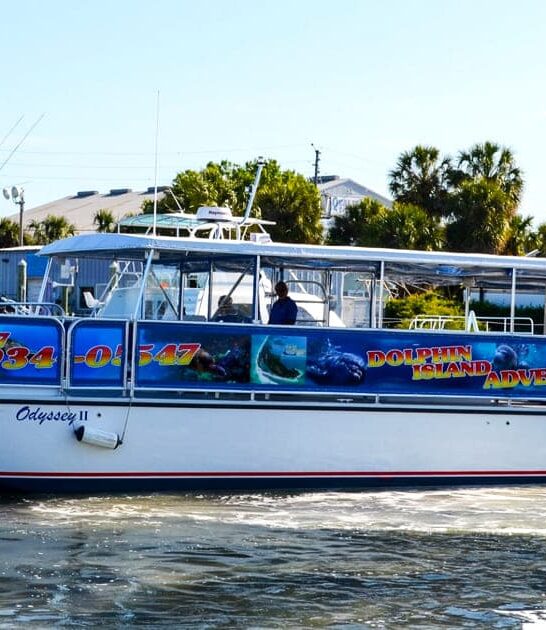 florida cruise gigantic shells ftr