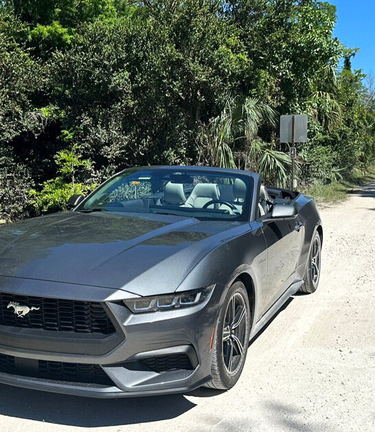 florida everglades scenic drive ftr