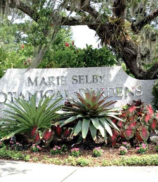 florida garden 5500 orchids ftr