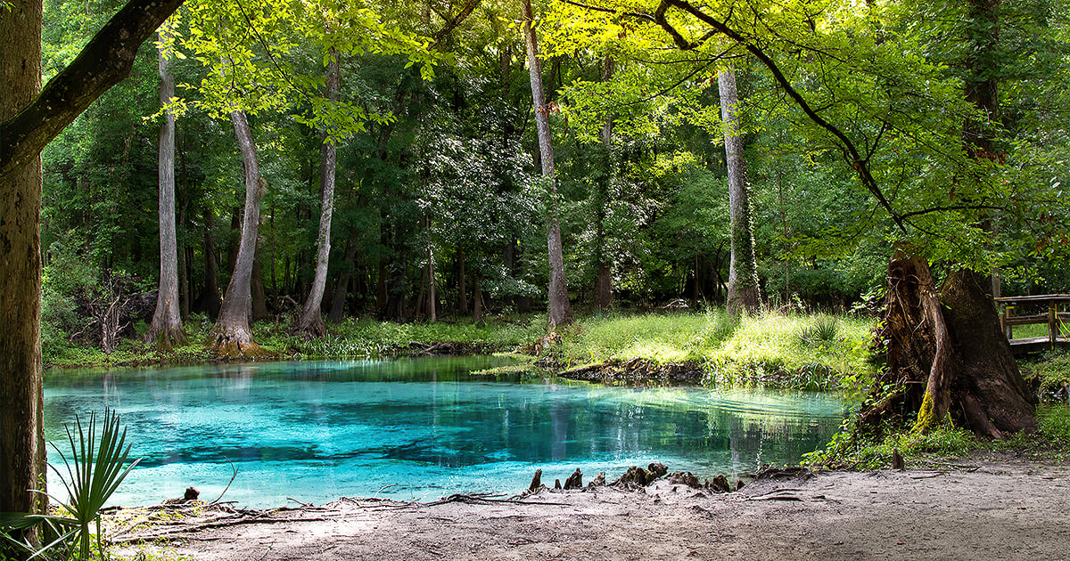 florida natural spring pools ftr