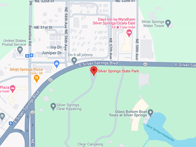 florida spring wild monkeys map