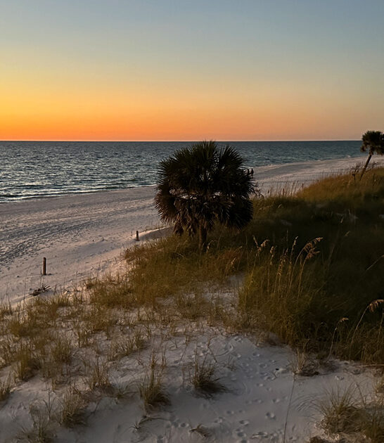 floridas hidden road trip ftr