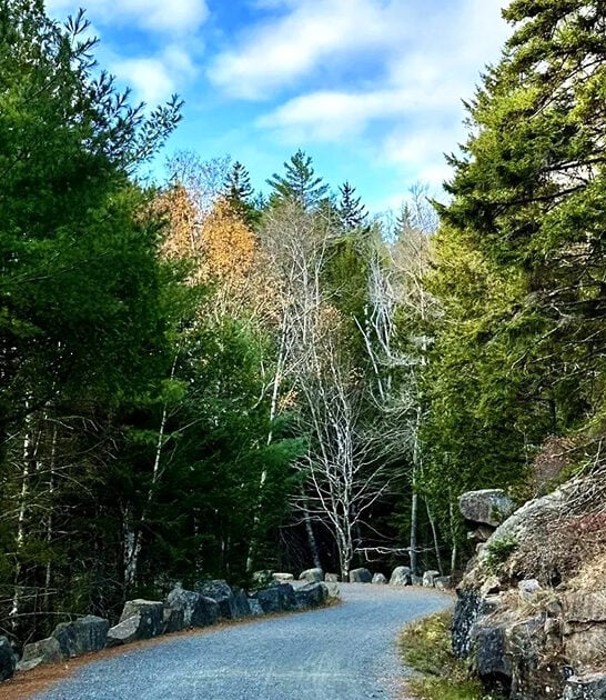 forest waterfall trail maine ftr