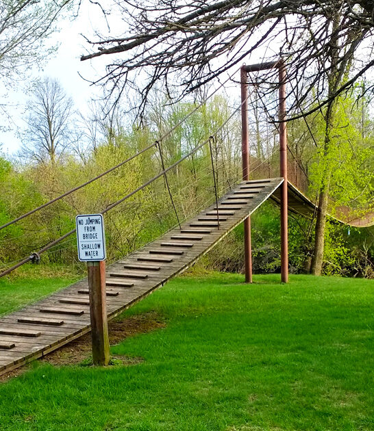 four unique bridge michigan ftr