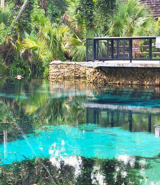 freshwater spring florida ftr