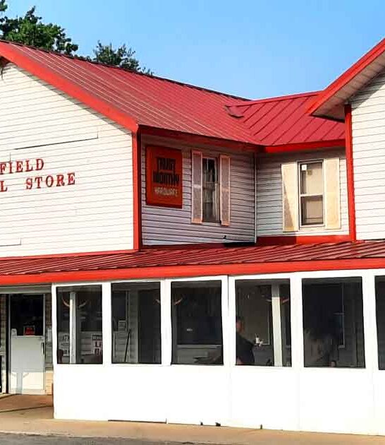 general store michigan ftr