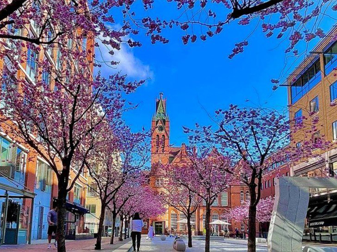 getaway-to-birmingham-michigan 6