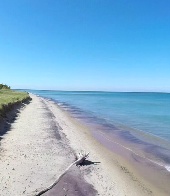glass beach in michigan ftr