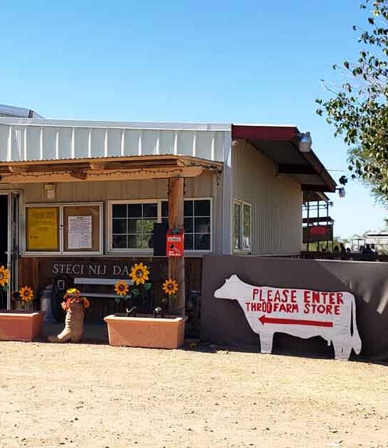 goats ice cream mesa ftr