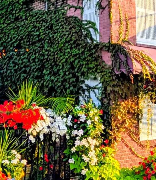 handmade pierogis michigan cafe ftr