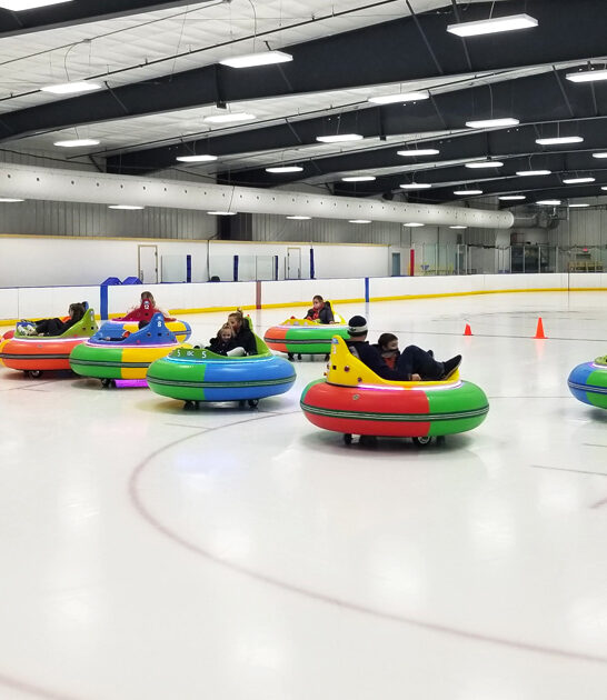 ice bumper cars michigan ftr