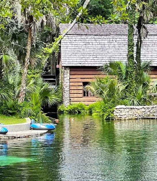 juniper springs dive florida ftr