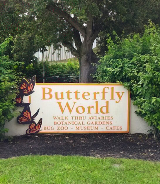 largest butterfly sanctuary florida ftr