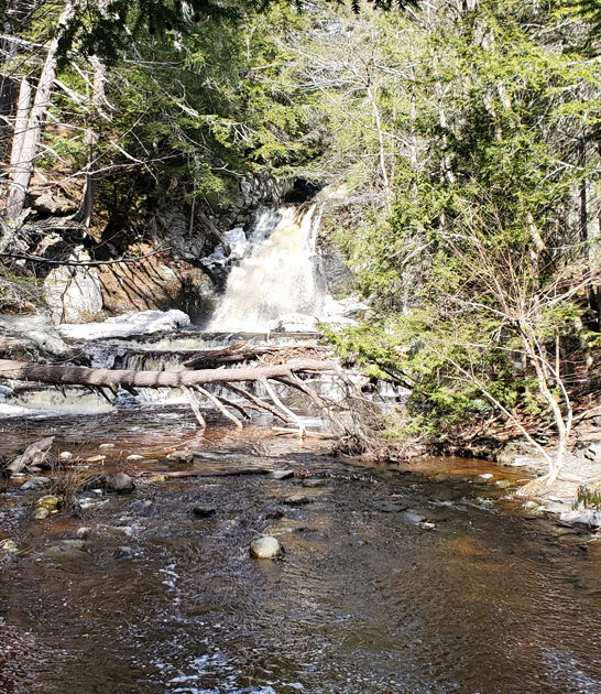 little known park maine ftr