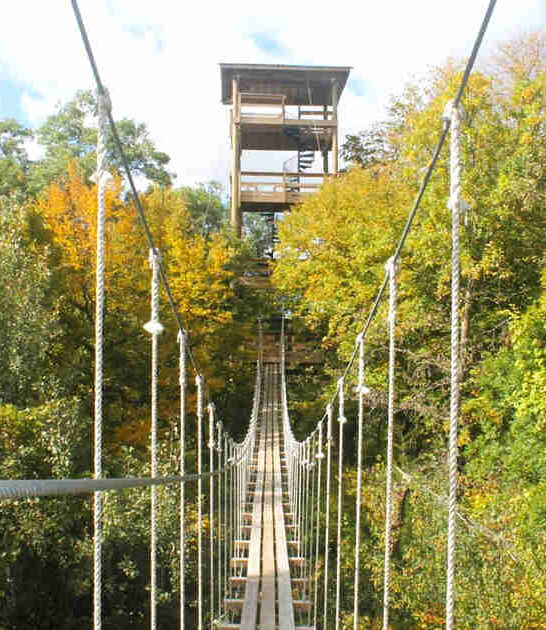 longest zipline adventure minnesota ftr