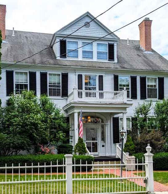 lupine fields maine trip ftr