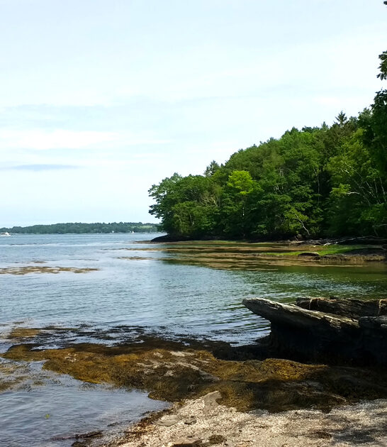 mackworth island park maine ftr