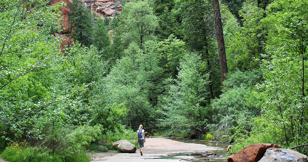 magical forest hike arizona ftr
