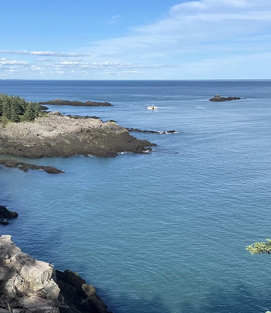 maine bold coast trail ftr