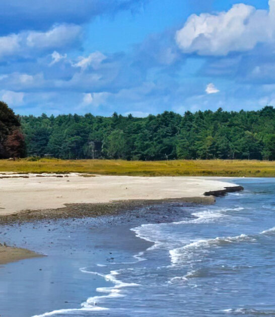 maine secluded shores FTR