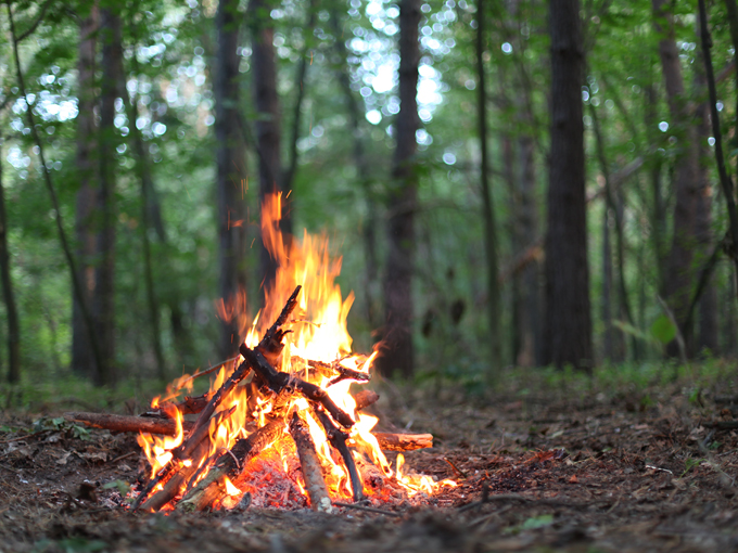 maine spirit honest statements 4