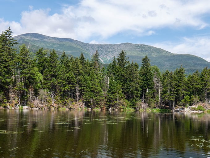 maine spirit honest statements 8