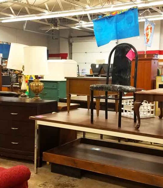 michigan bargain thrift store ftr