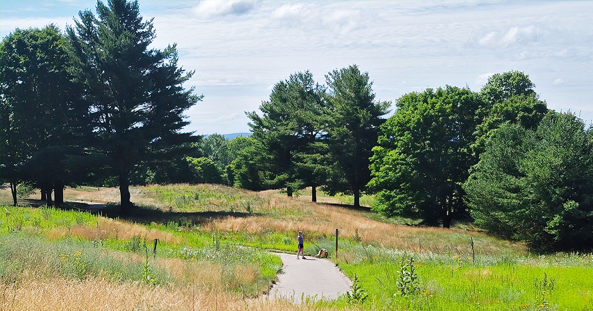 michigan tunnel of trees ftr