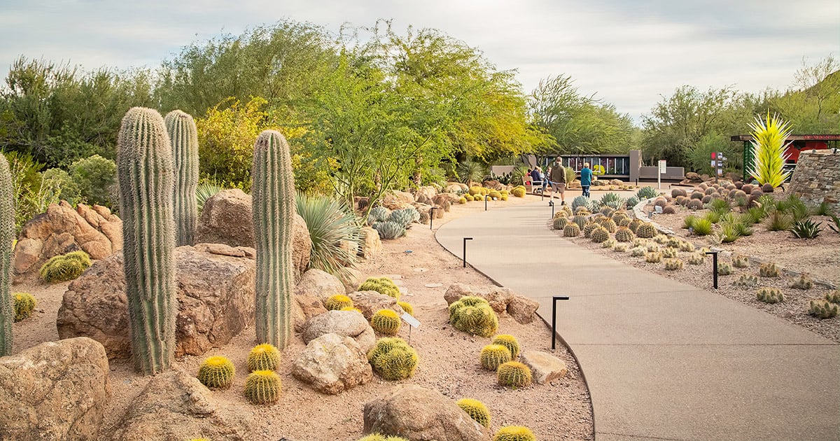 museum garden visit arizona ftr