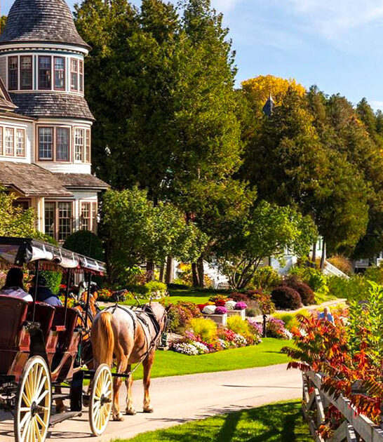 no car michigan town ftr