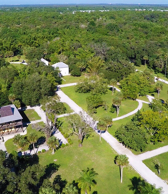 oak lined park florida ftr