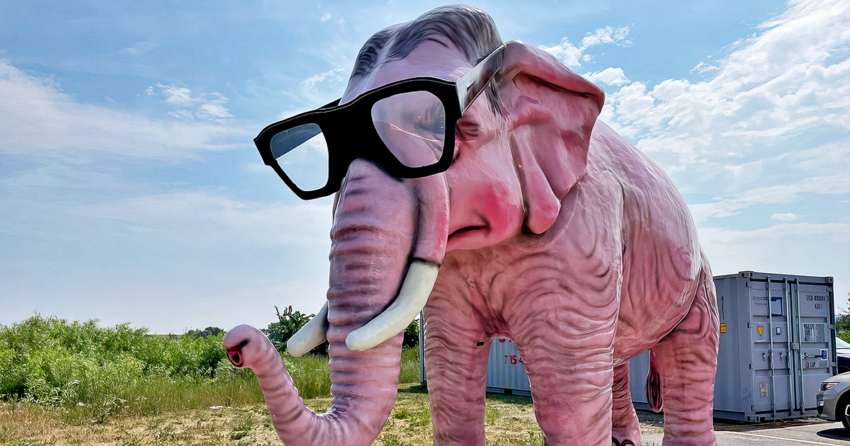 pinkie the elephant wisconsin ftr