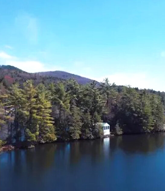 rent dogatraz island vermont ftr