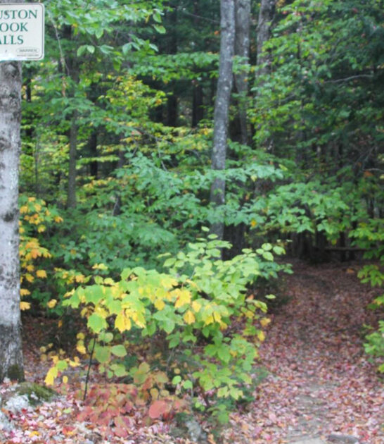 rural maine road trip ftr