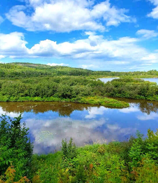 rural road trip minnesota ftr