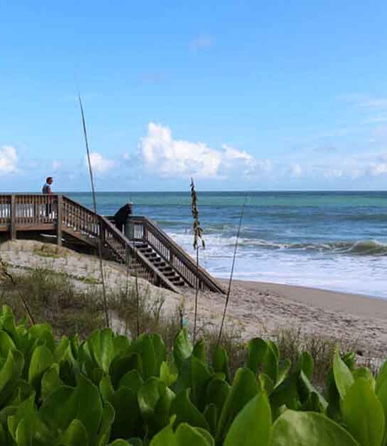 scenic drive florida waves ftr