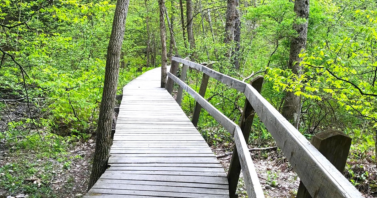 scenic riverside hike maine ftr
