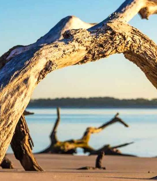 secret beaches trip florida ftr