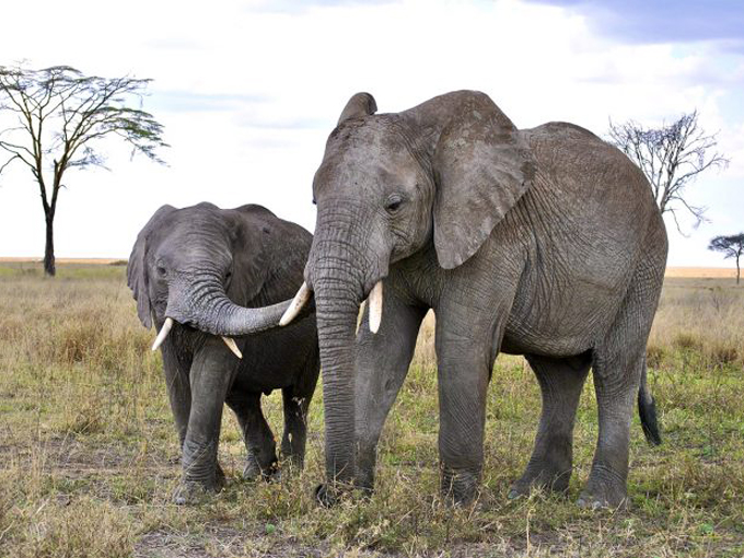 secrets of vermonts resilience 5