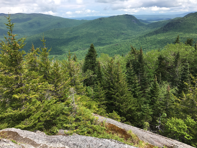 secrets of vermonts resilience 9