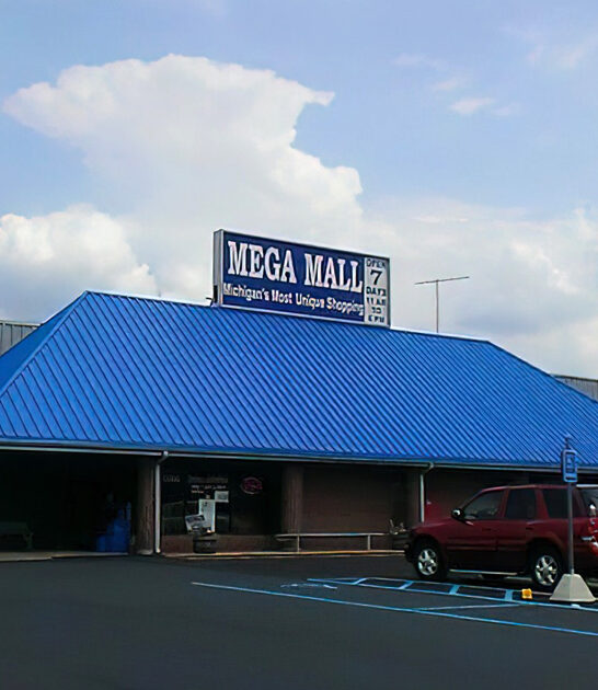 shopping haven in michigan ftr