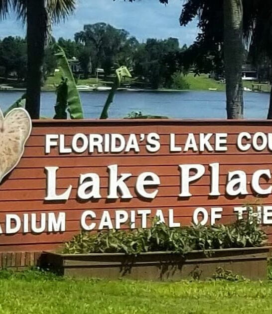 southern small town florida ftr