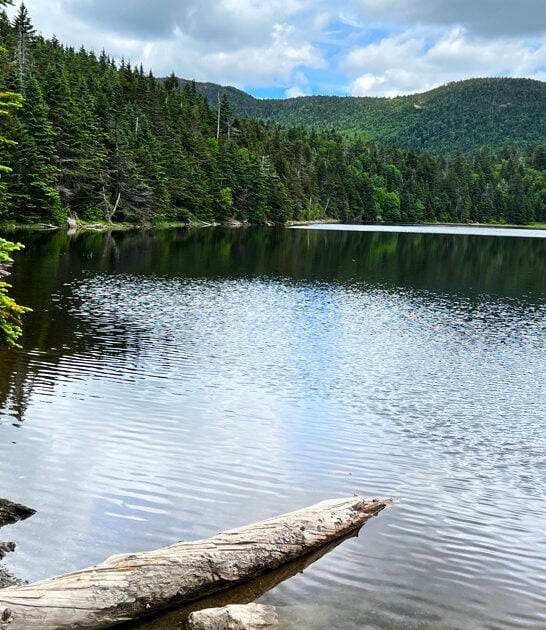 sterling pond trail vermont ftr