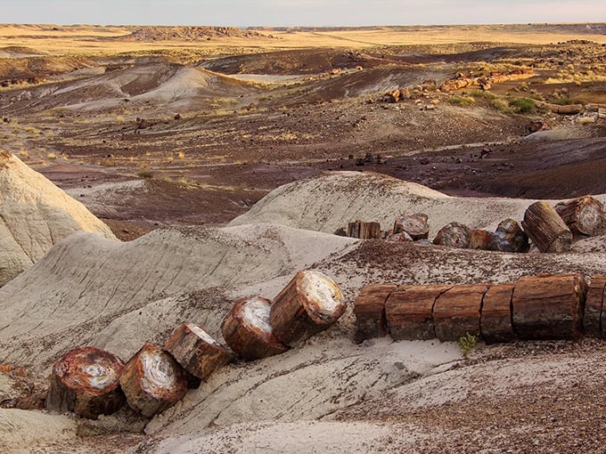 stunning drive in arizona 5