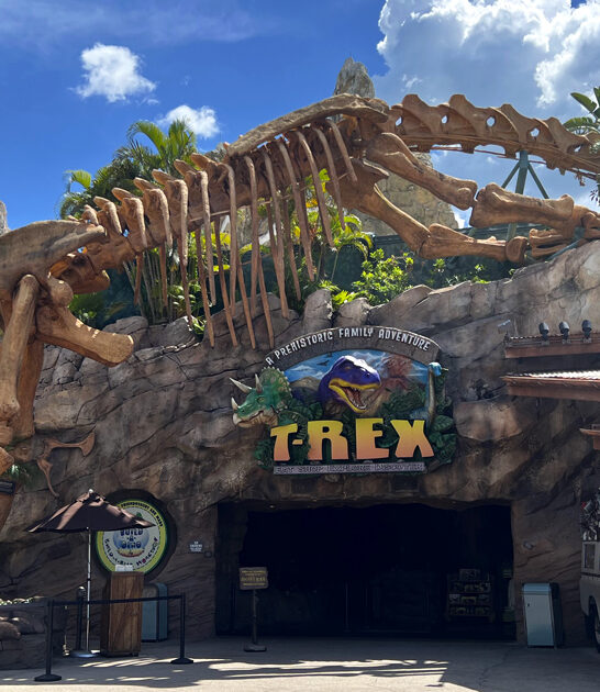 t rex cafe florida ftr